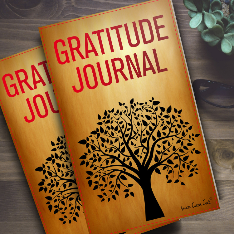 Gratitude Journal and Lesson Plans: Secondary FREE – Anam Cara Cat ...